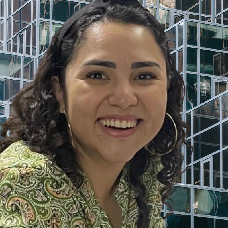 Portfólio Regina Reis